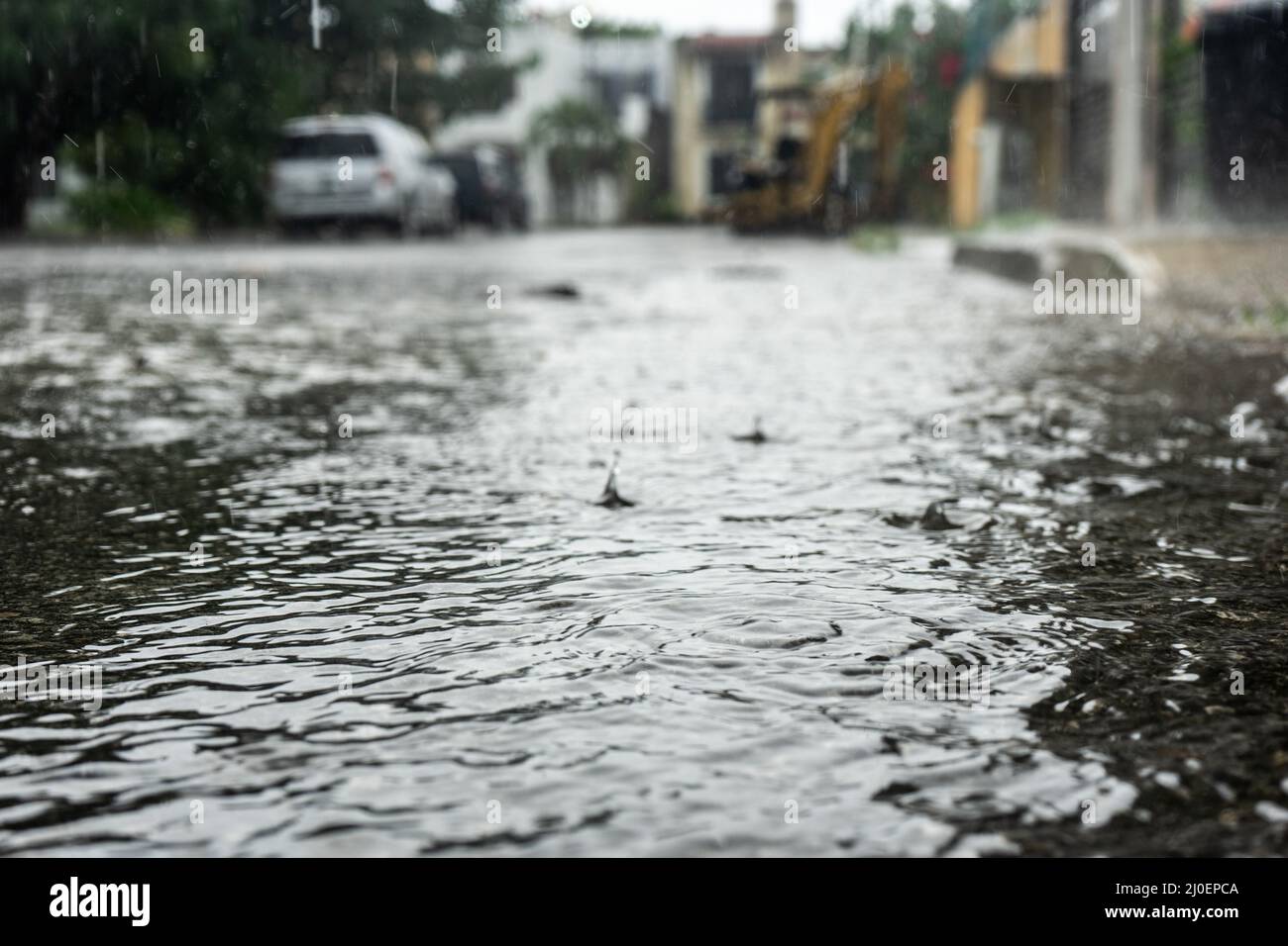 Rain drops falling on city street Stock Photo - Alamy