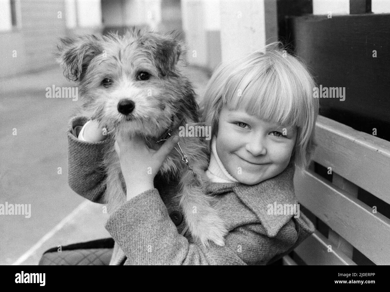 The scamp hi-res stock photography and images - Alamy