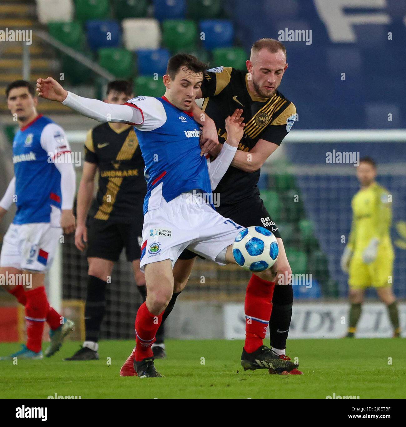 Stephen fallon linfield nifl hi-res stock photography and images - Alamy