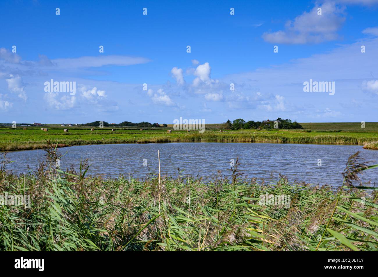 Lake in summertime Stock Photo - Alamy