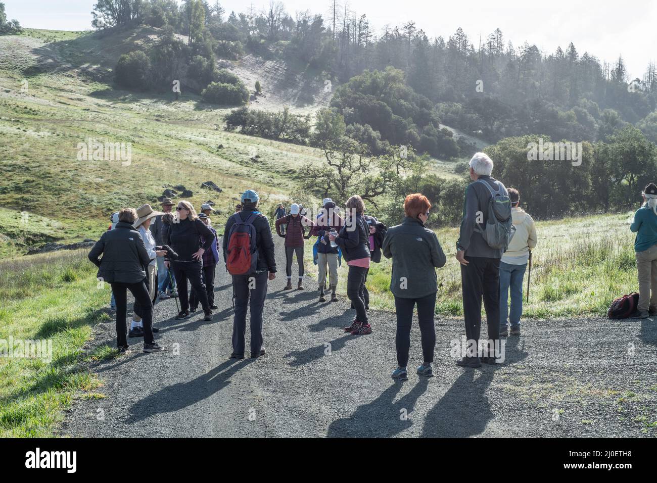 Hikers on a group hike walk through the outdoors in the Pacific coast ...