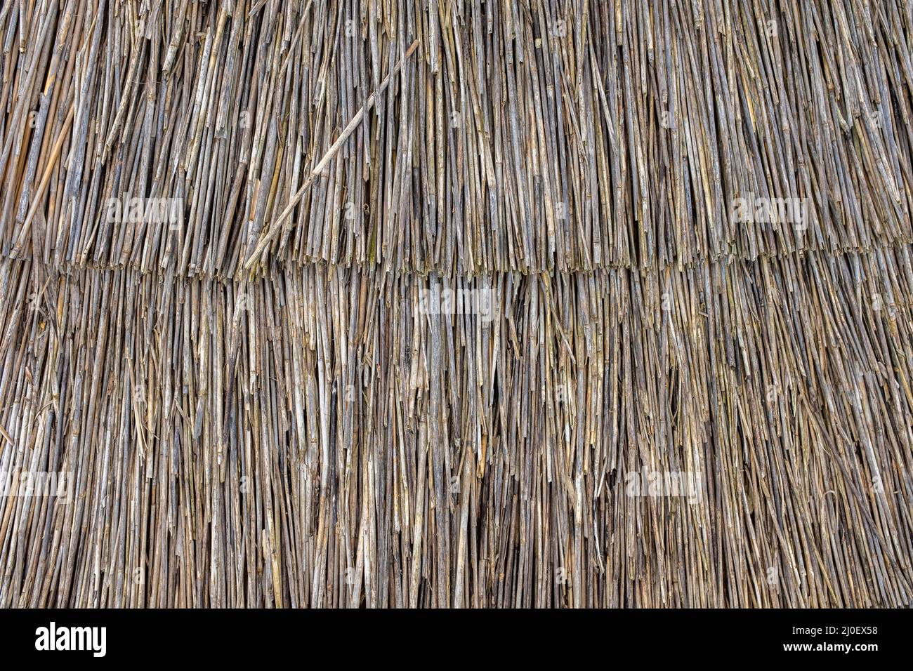 Thatched Roof Detail Texture Stock Photo - Alamy