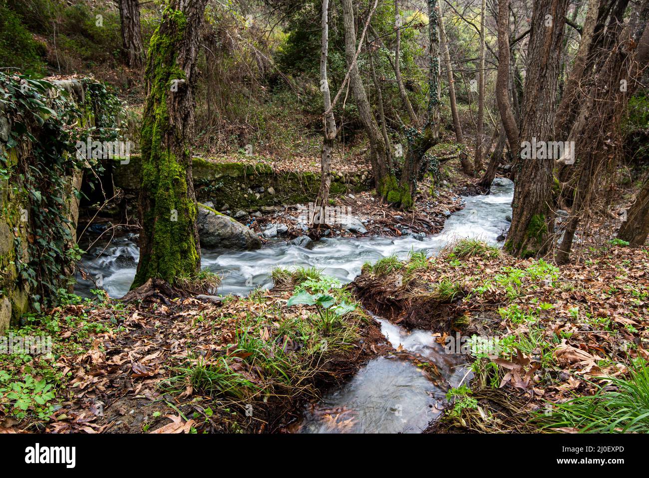 Beautiful medieval stoned bridge with river flowing Stock Photo - Alamy