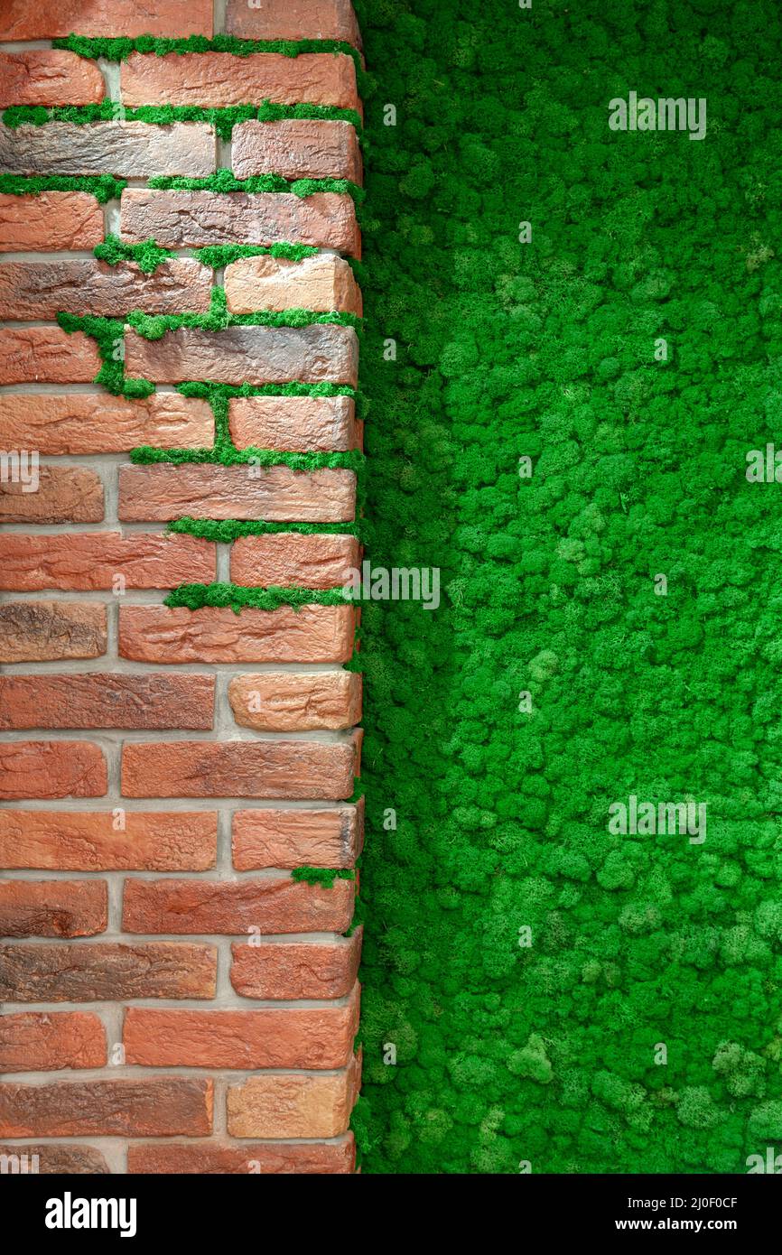 Brick wall with decorative green moss Stock Photo - Alamy