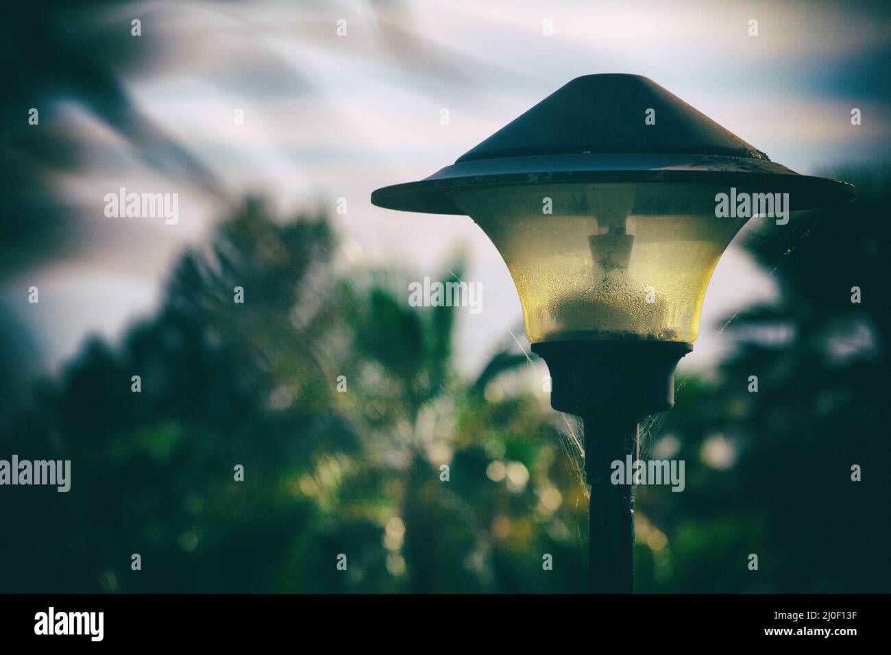 Hot lamp hi-res stock photography and images - Alamy