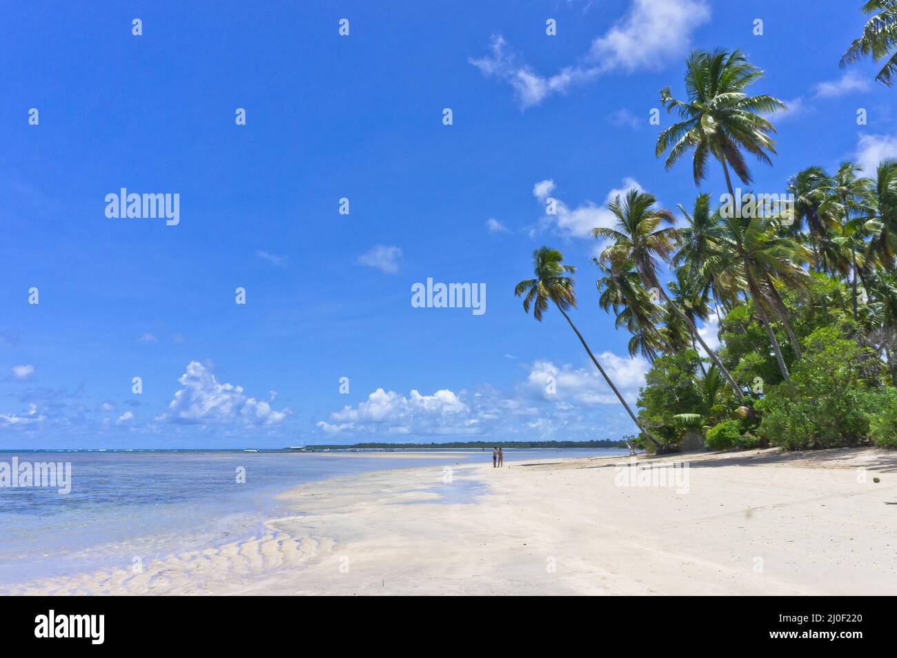 Tropical Beach, Morro de Sao Paulo,Island Boipeba, Brazil Stock Photo ...