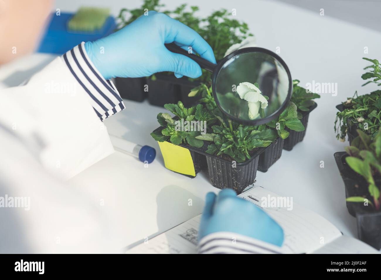This Is What It Looks Like When Magnified Cropped Shot Of An Unrecognizable Female Scientist