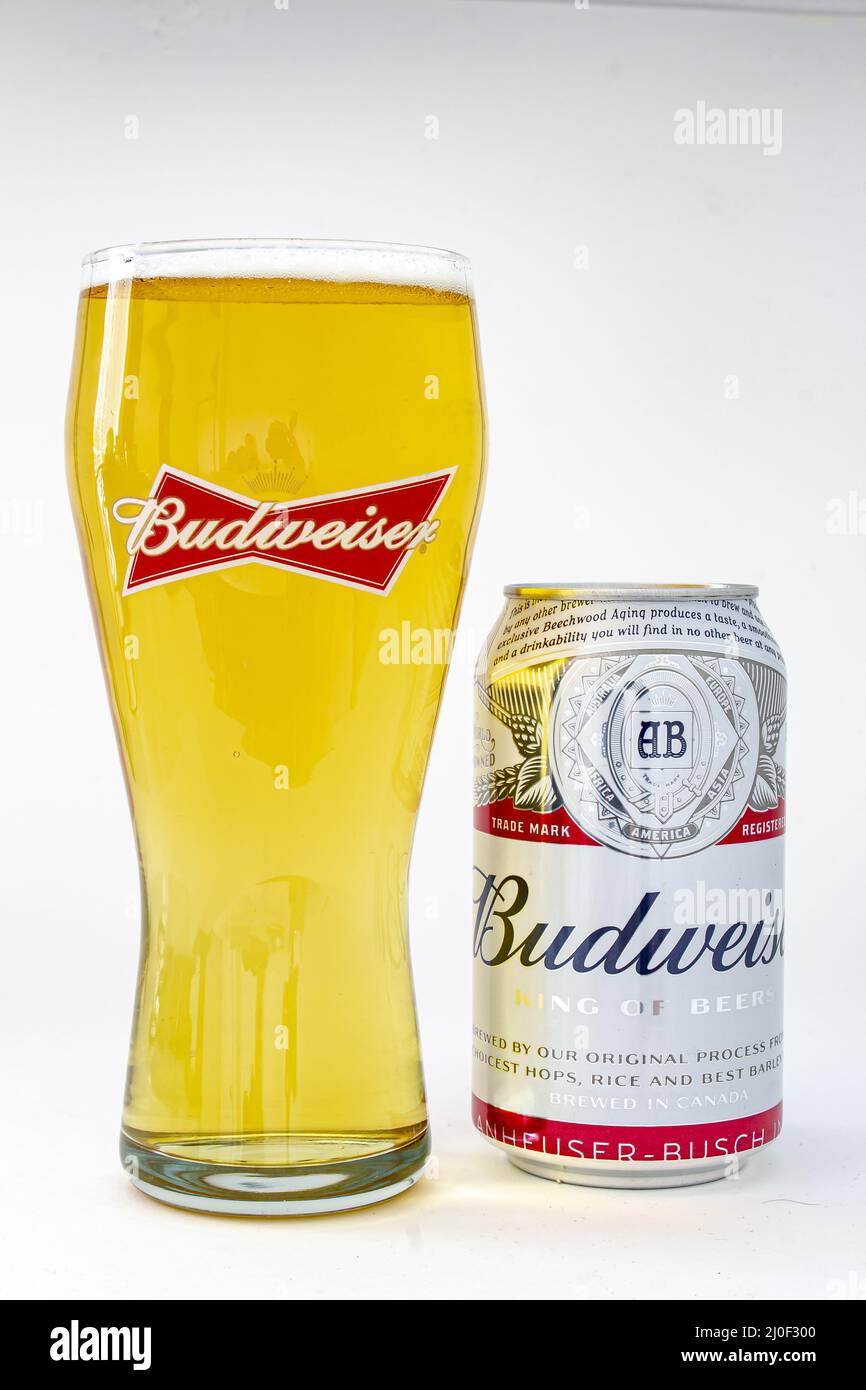 Budweiser beer can hi-res stock photography and images - Alamy