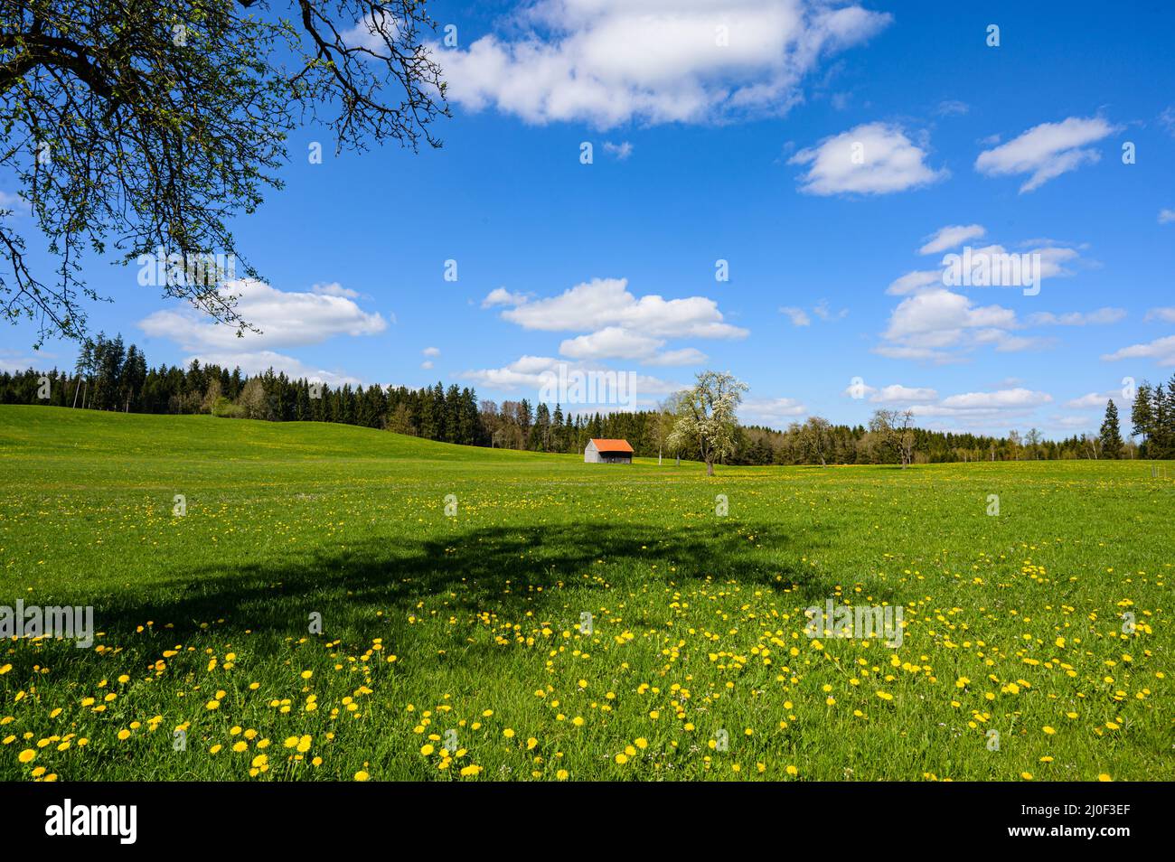 Landscape of hills hi-res stock photography and images - Alamy