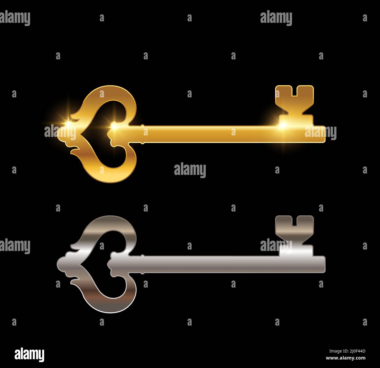 A Vector Illustration set of Gold and Chrome Key Vector Sign Stock ...
