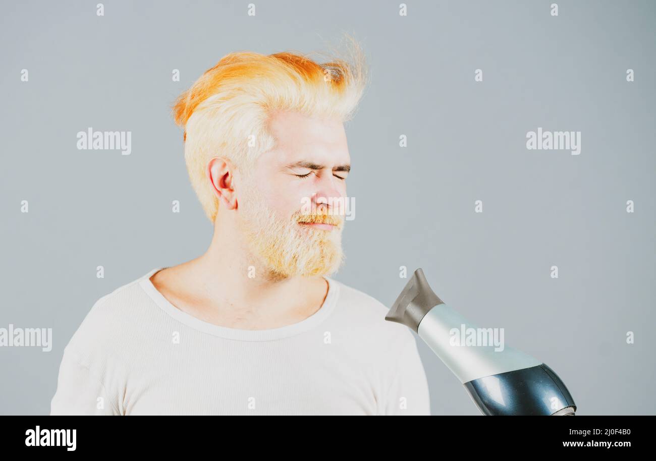 Blonde funny bearded man hair dry. Hair care male isolated Stock Photo ...
