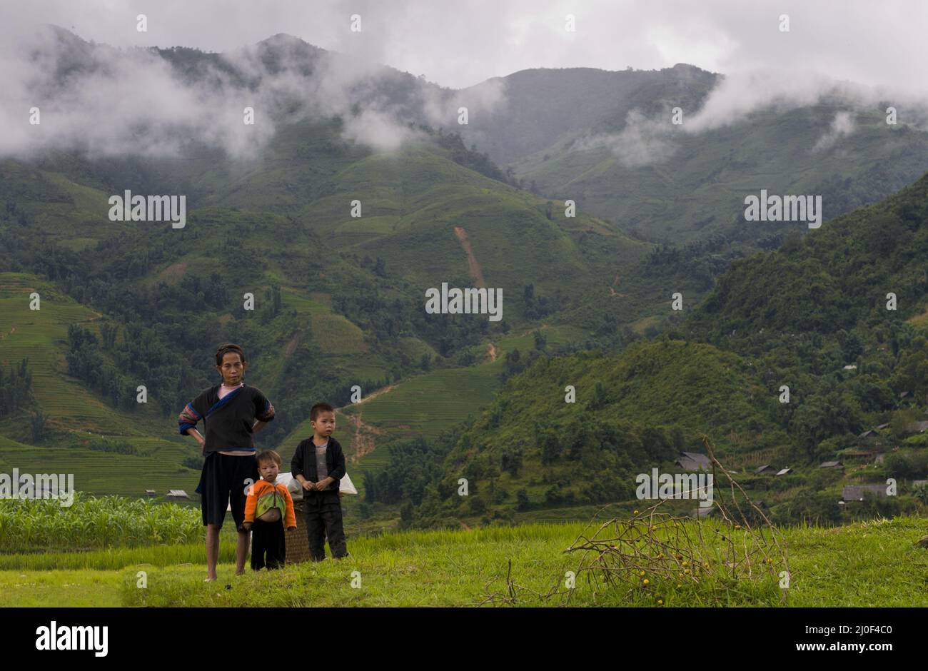 Traditional Vietnamese family at Sapa, Vietnam Asia Stock Photo - Alamy