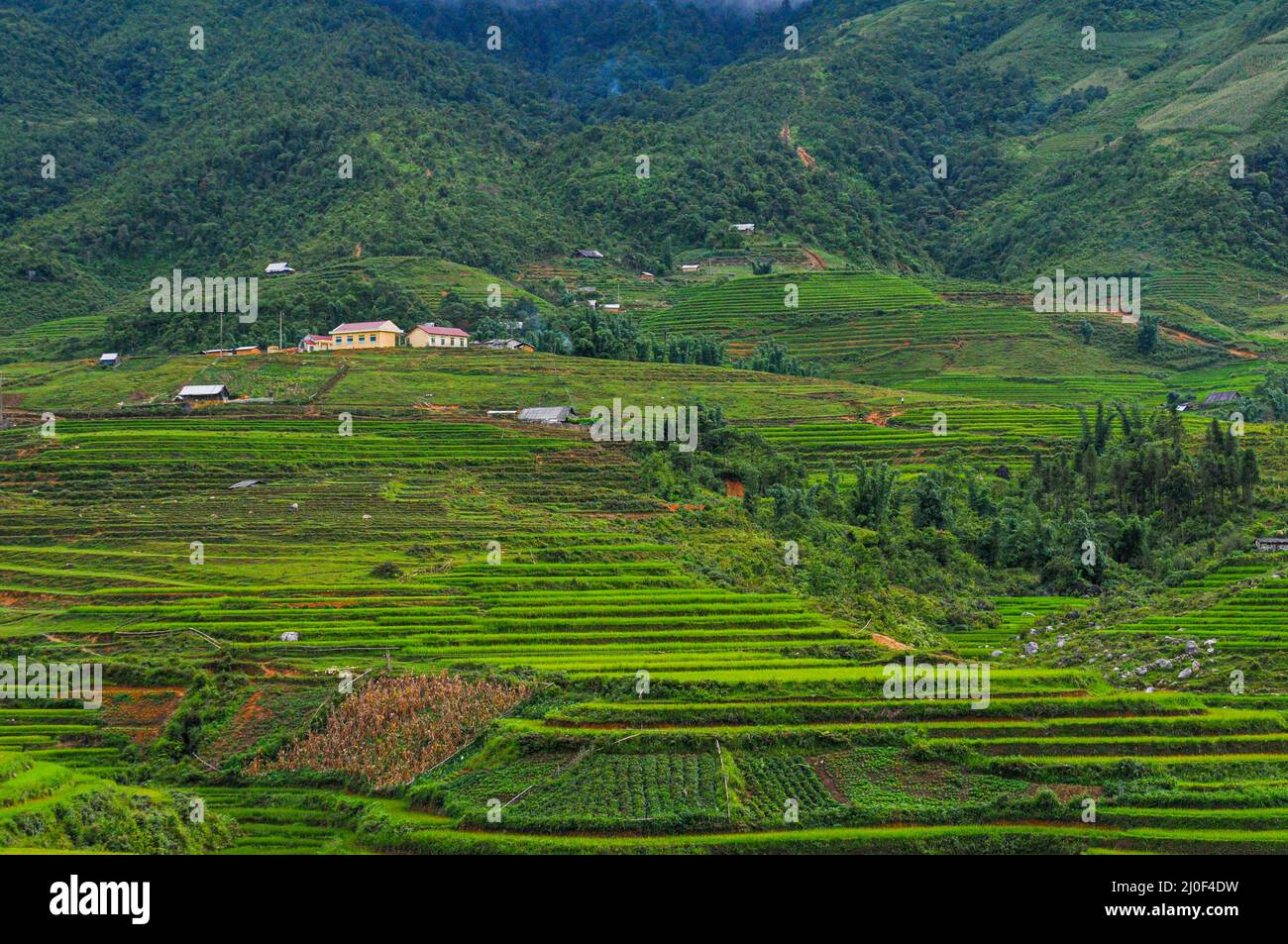 Vietnamese mountain landscape with rice fields and small villages in ...