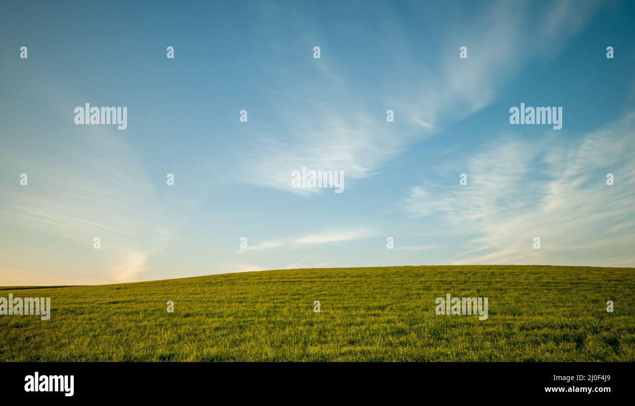 Green field and Blue cloudy Sky Environment Stock Photo - Alamy