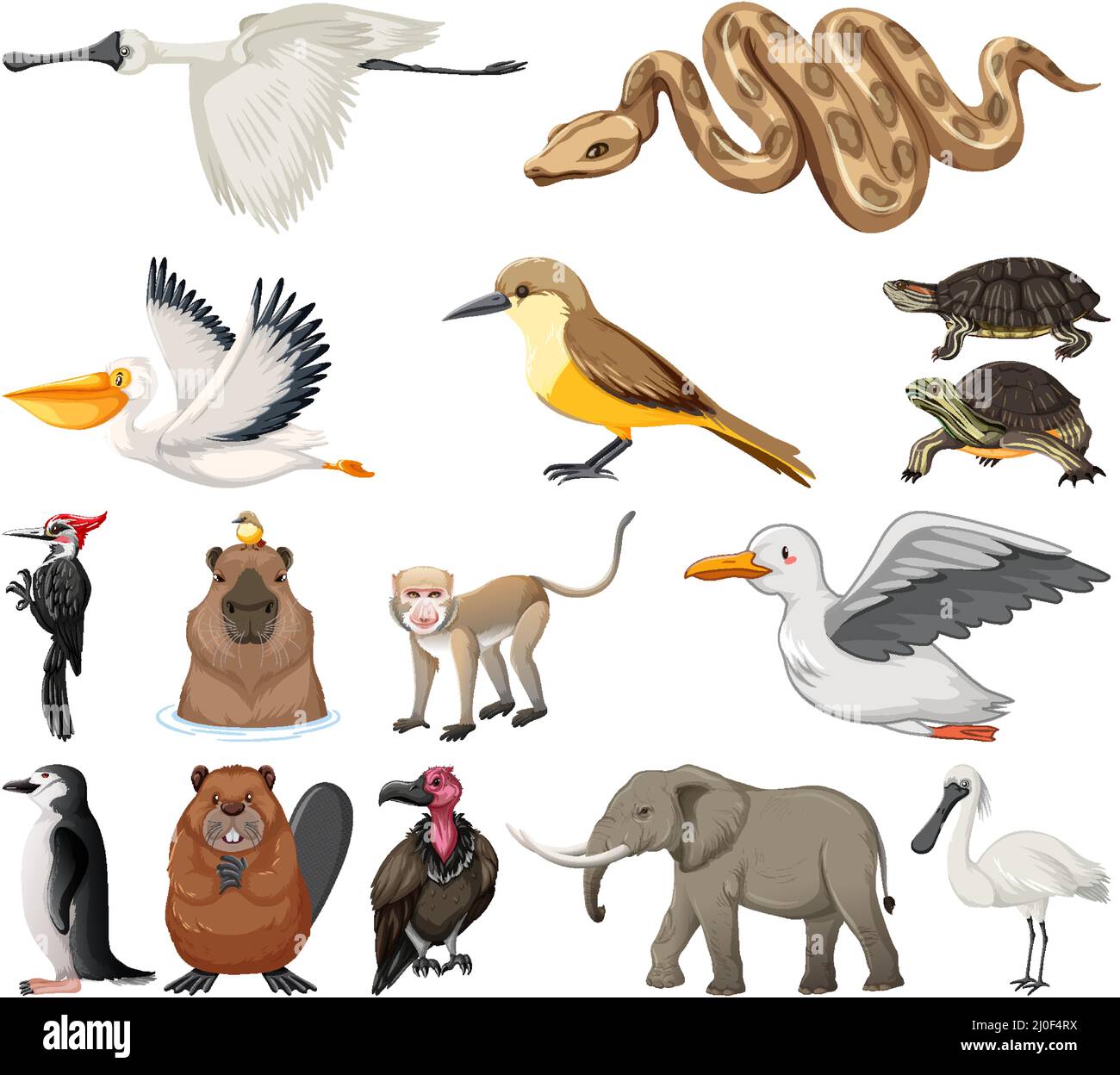 Turtle farms Stock Vector Images - Alamy