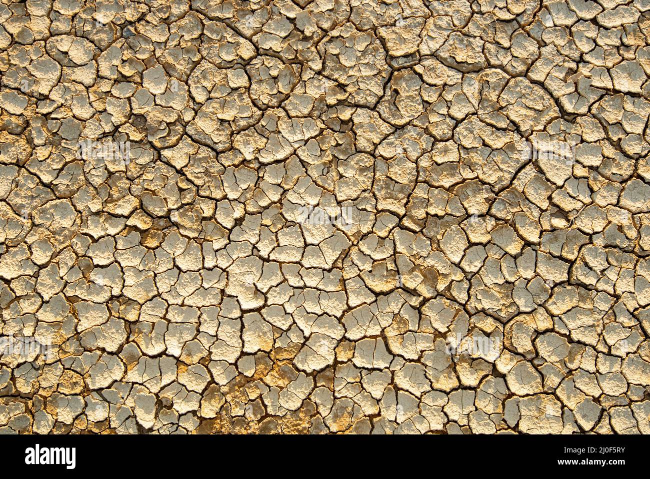 Dry cracked ground background. Environmental concept Stock Photo - Alamy