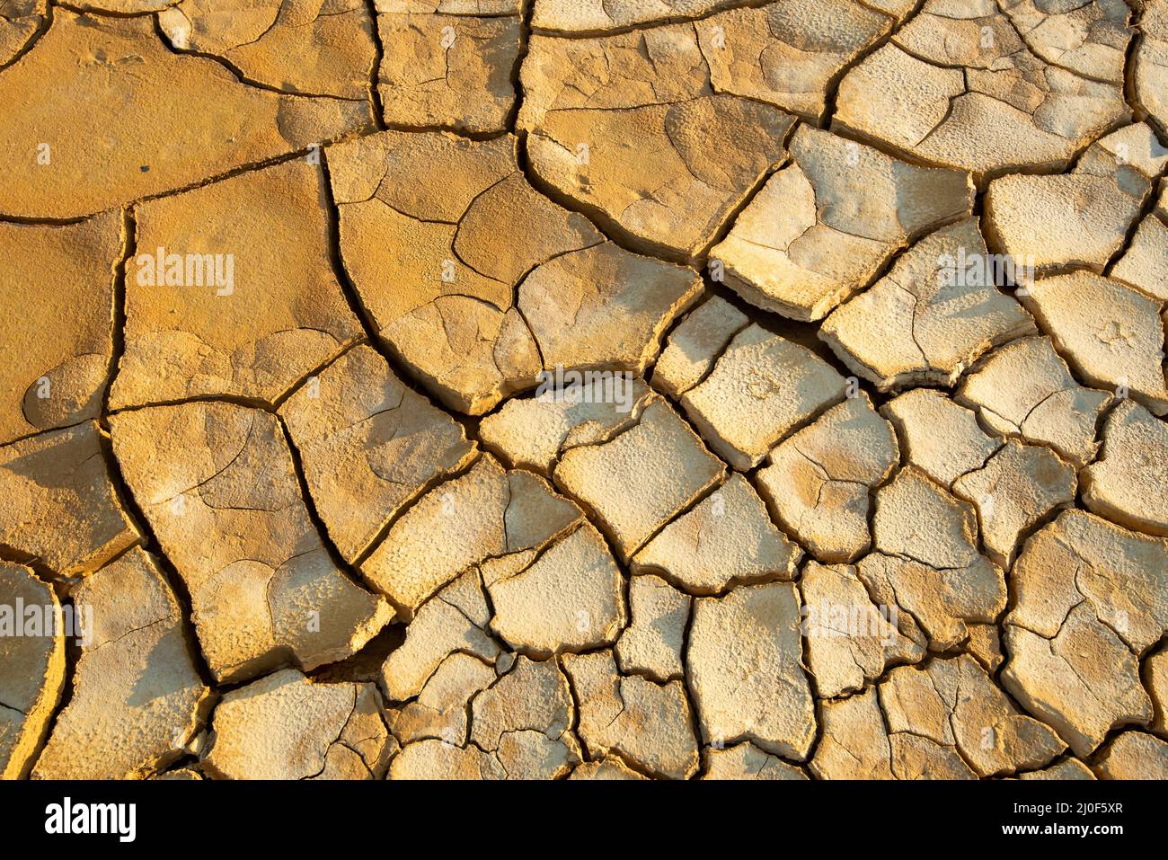 Dry cracked ground background Stock Photo - Alamy