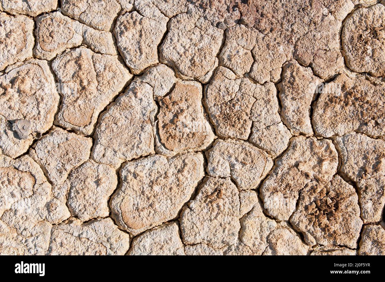 Dry cracked ground background Stock Photo - Alamy