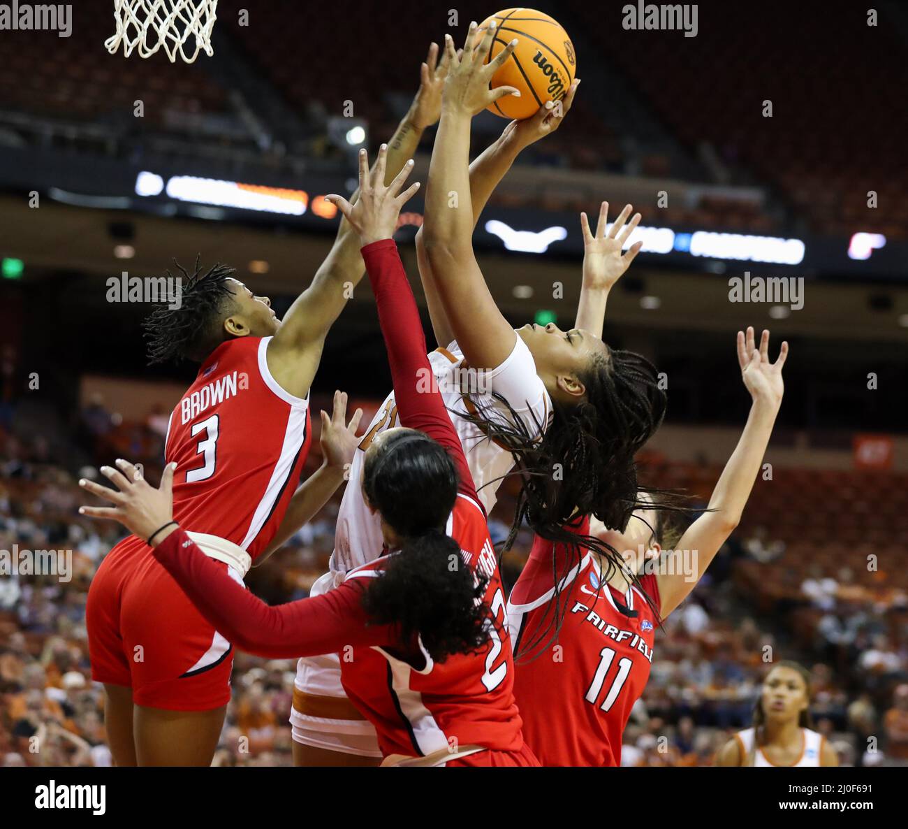 Janelle Brown Lab Rats