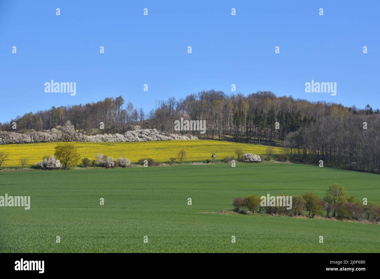 Saxon mountain hi-res stock photography and images - Alamy
