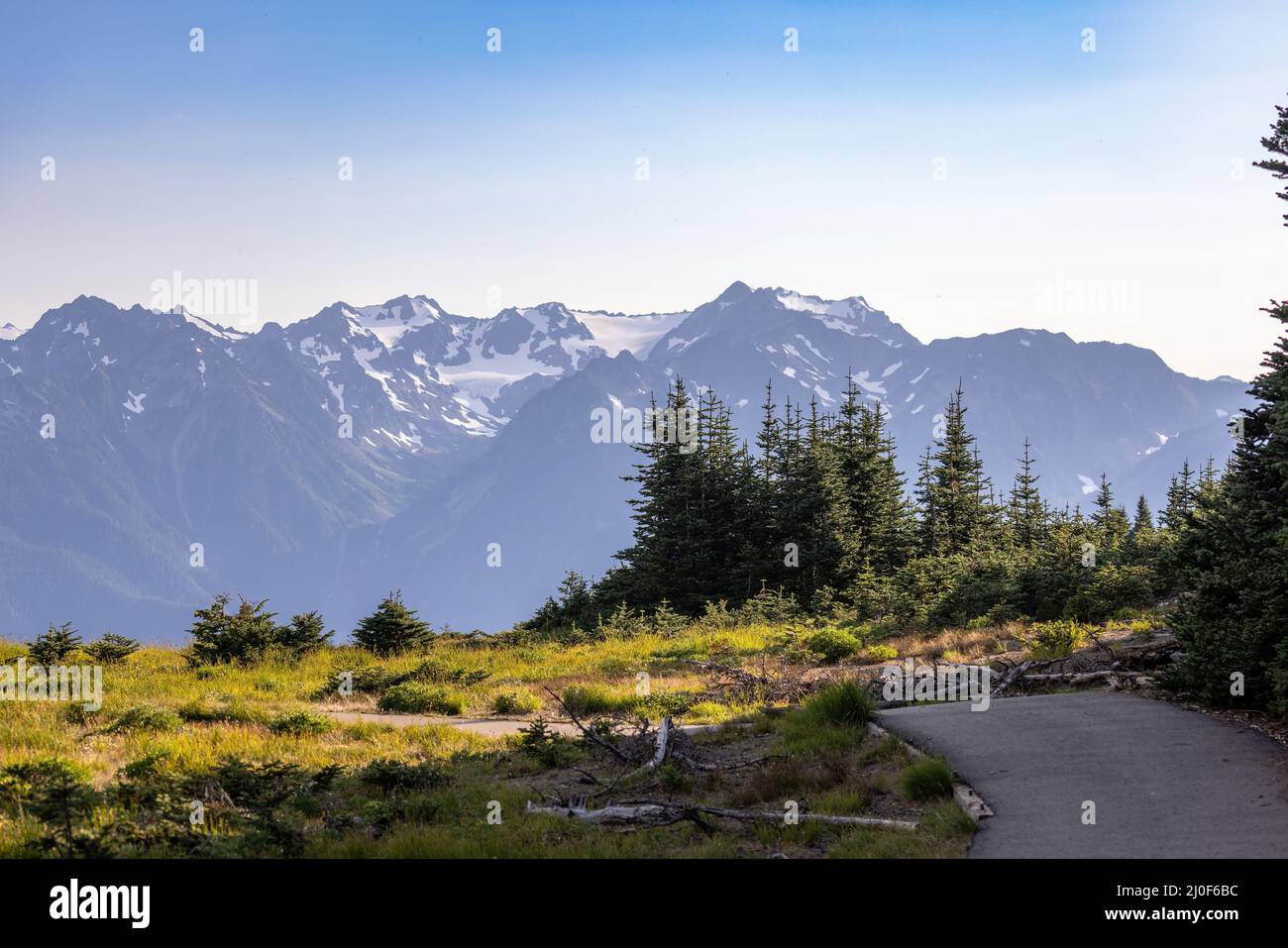 Fingers through grass hi-res stock photography and images - Alamy