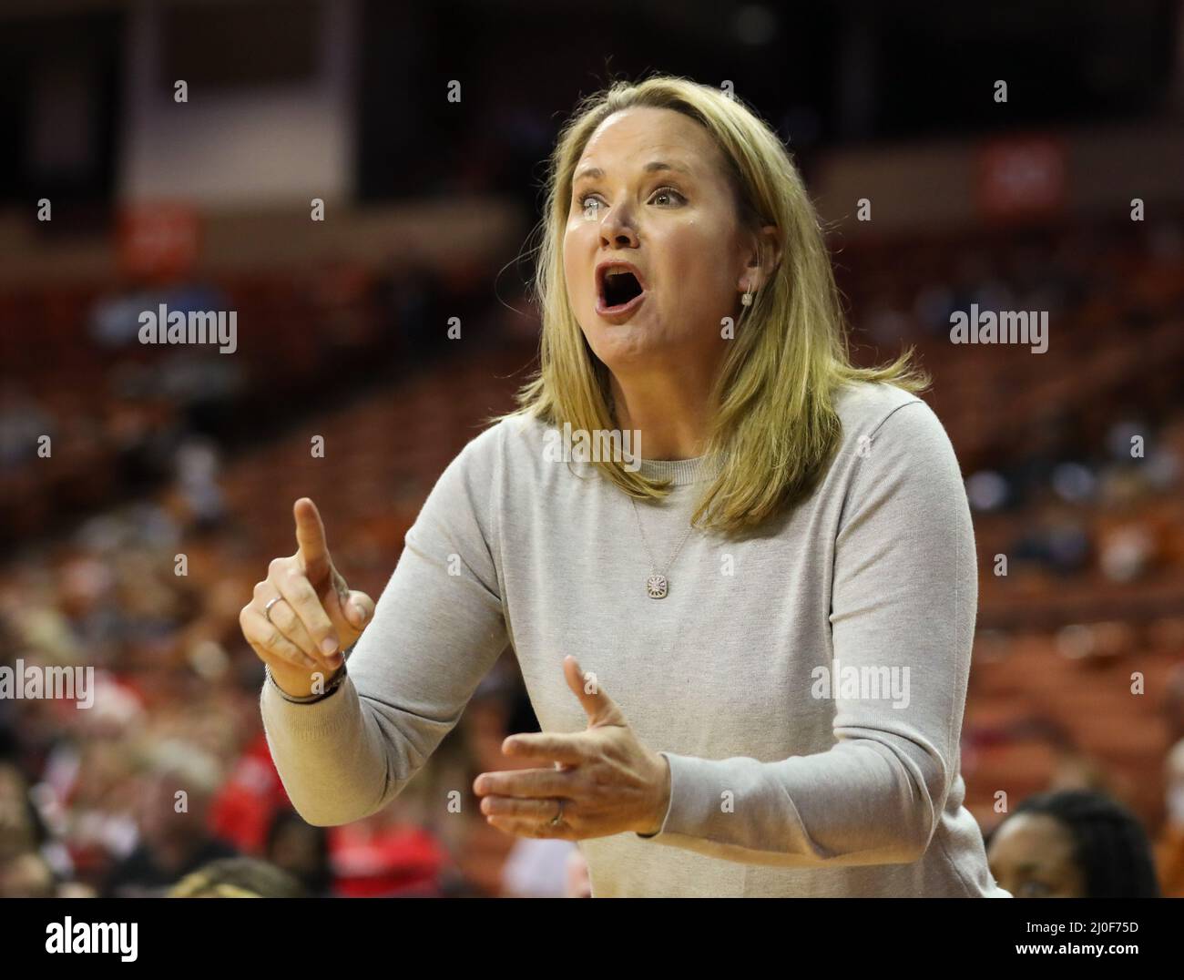 Miss Lynne Austin Cover