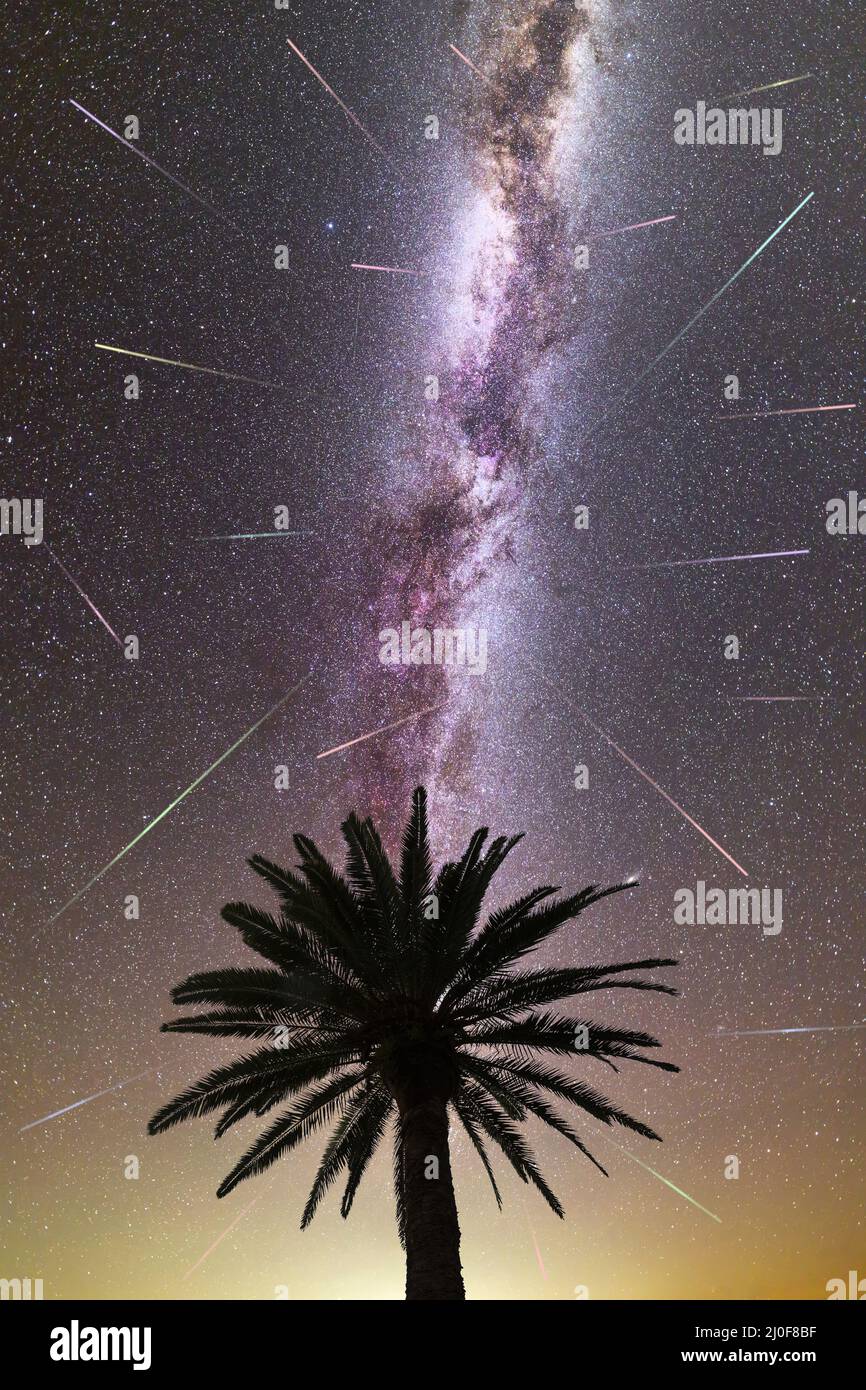 Purple Milky way falling stars palm tree Stock Photo - Alamy