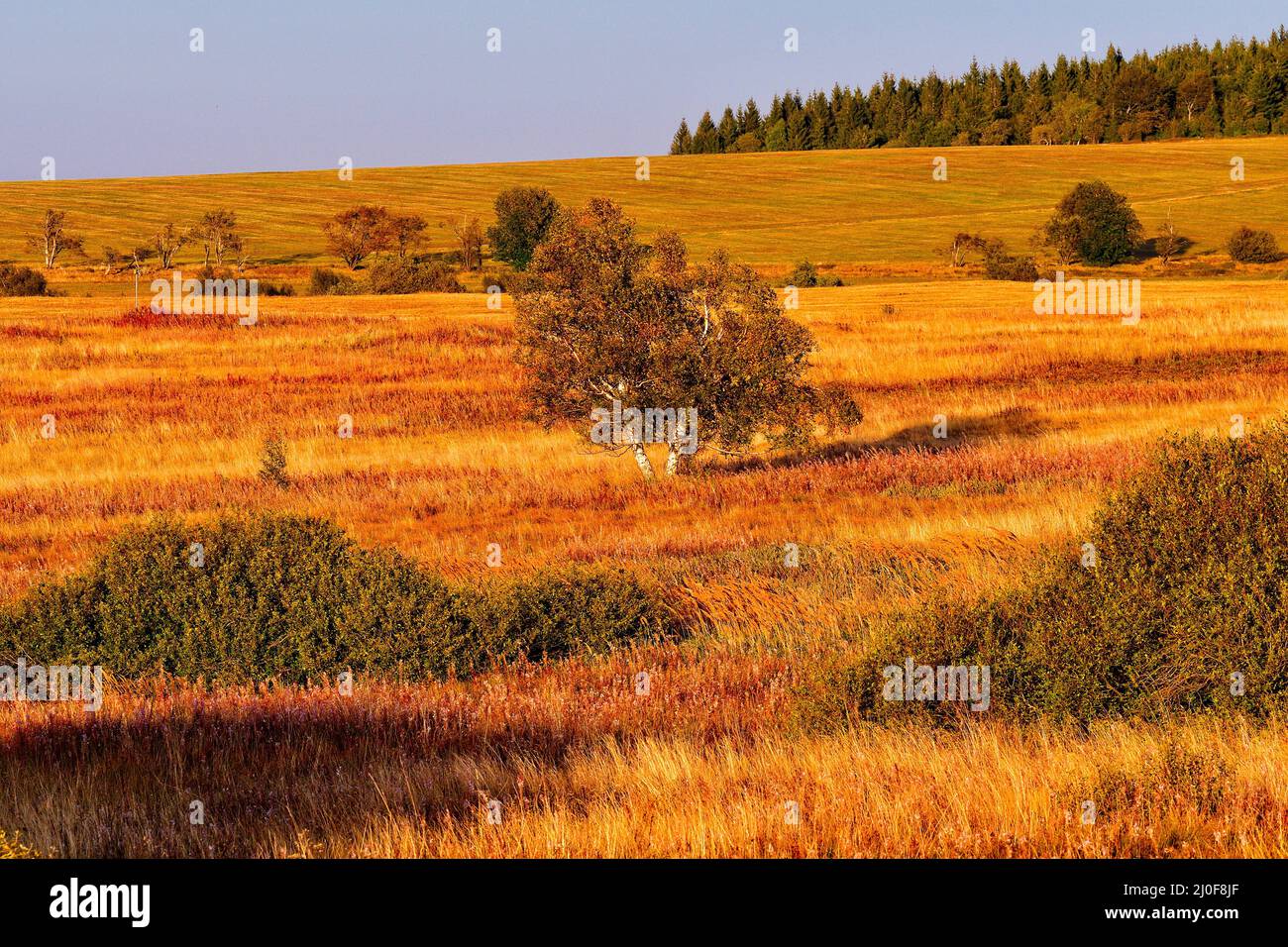 Ore mountain range hi-res stock photography and images - Alamy