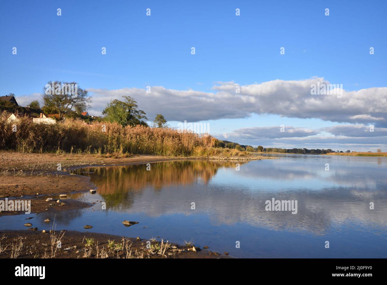 The river oder near lebus Stock Photo - Alamy