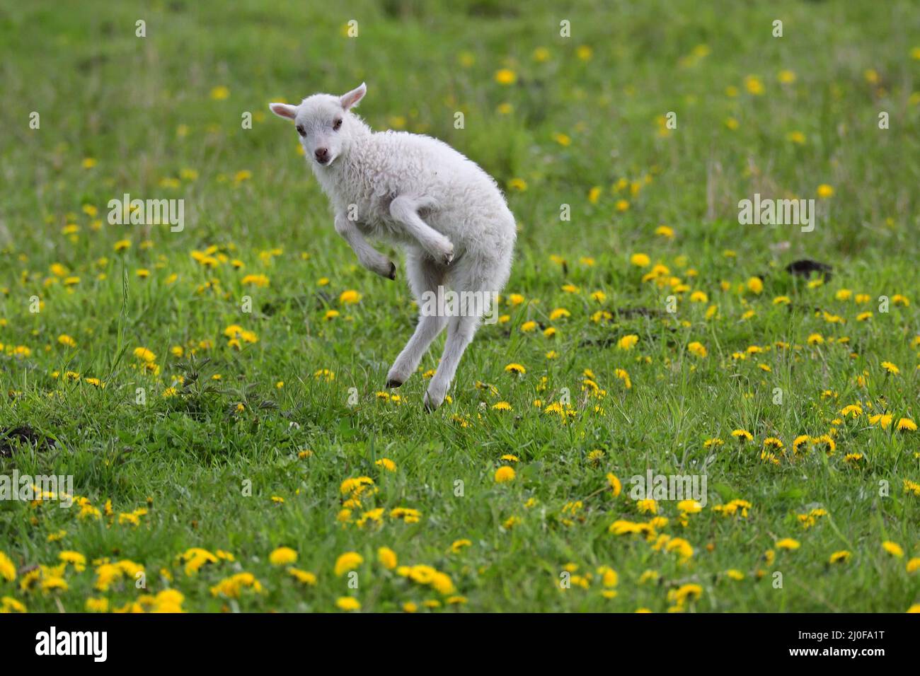 Skudden hi-res stock photography and images - Alamy