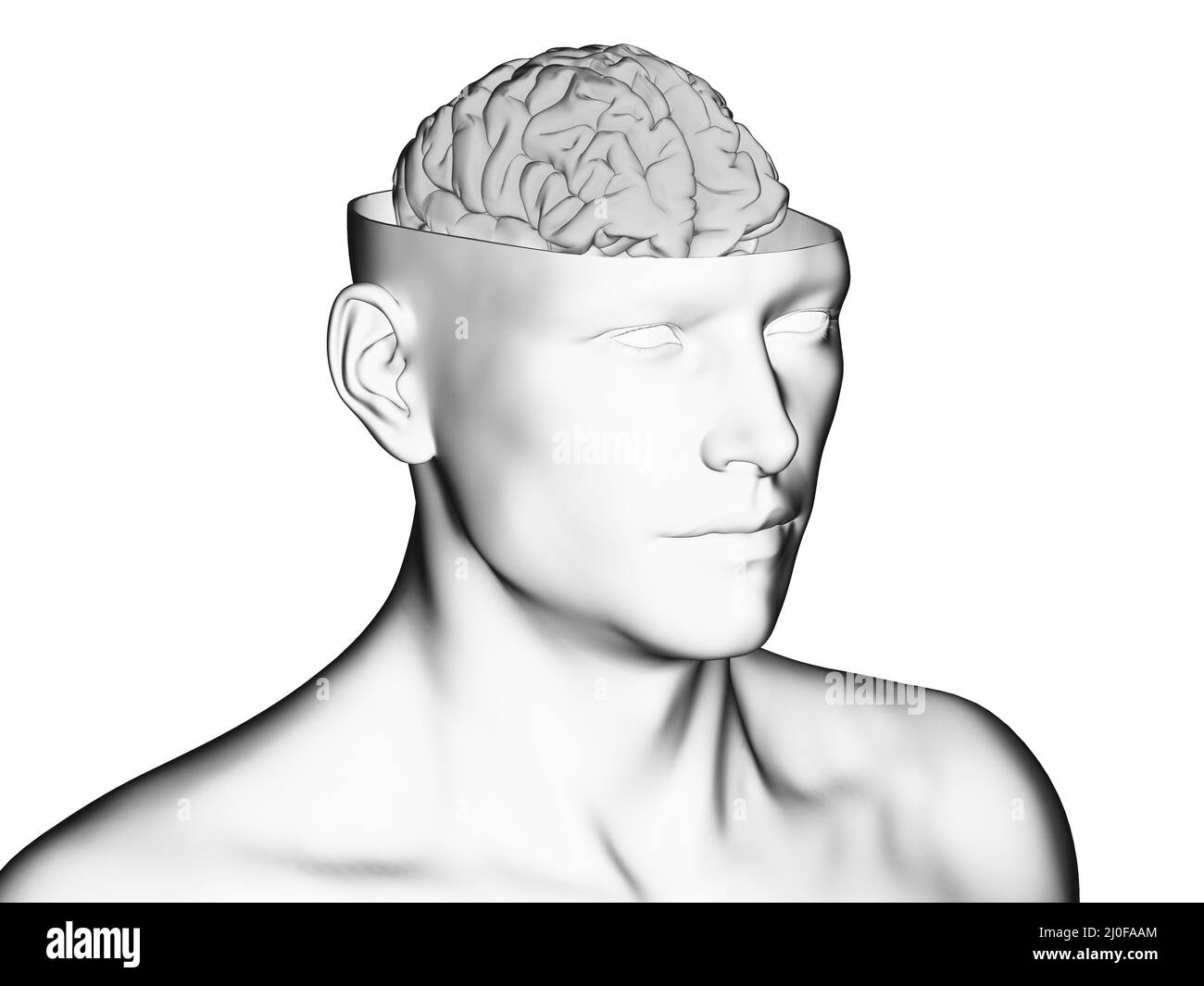 Brain in an open head, illustration Stock Photo - Alamy