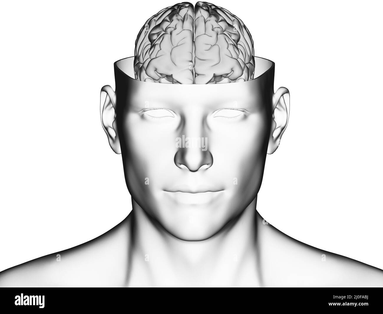 Brain in an open head, illustration Stock Photo - Alamy