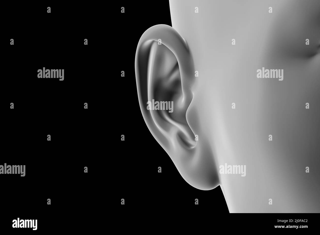 Female ear, illustration Stock Photo - Alamy