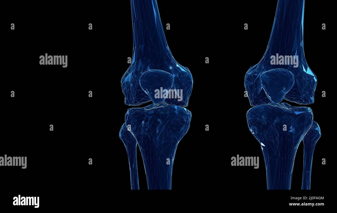 Skeletal knee, illustration Stock Photo - Alamy