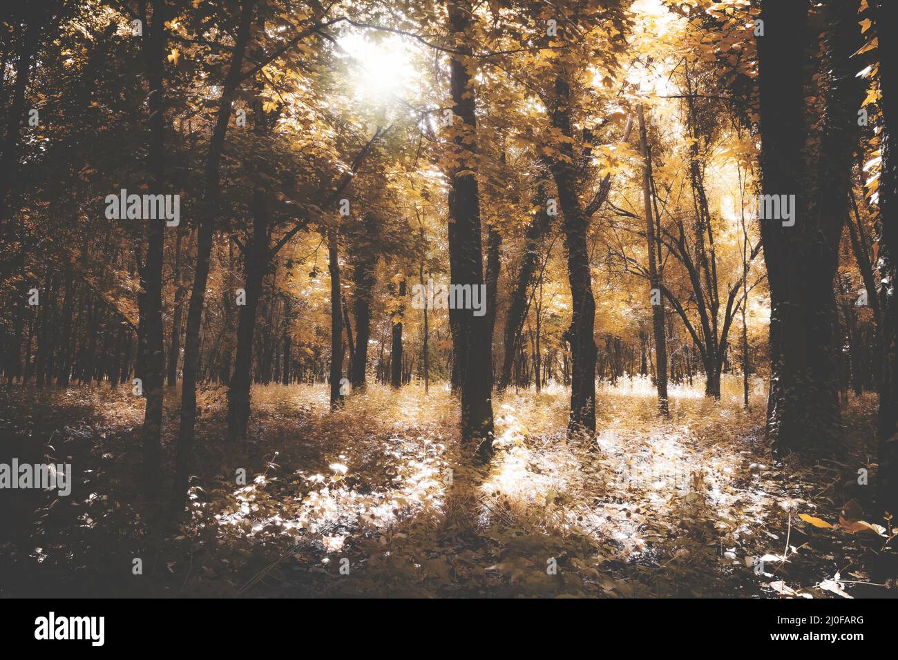 Silent environment hi-res stock photography and images - Alamy