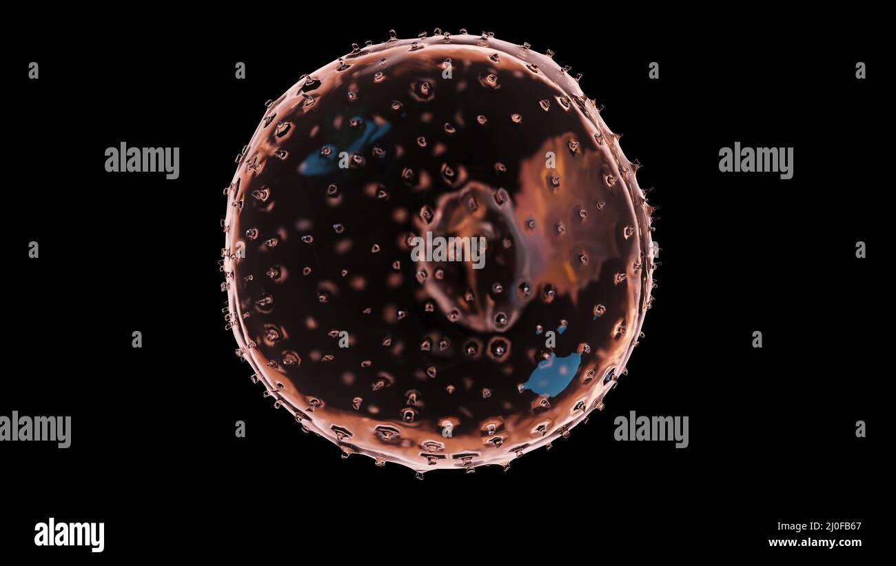 Week 2 fetal development hi-res stock photography and images - Alamy