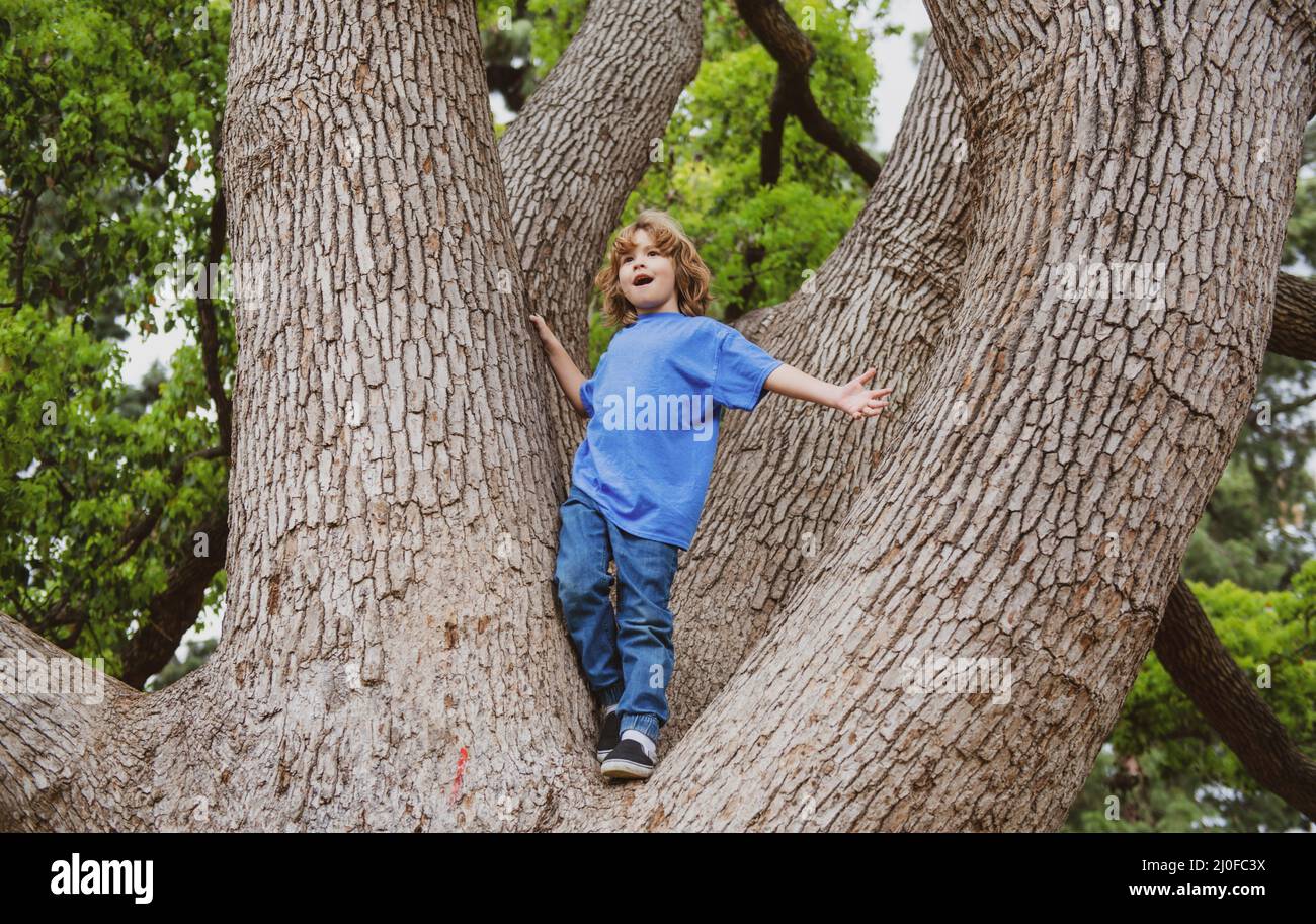 Kid climbing up an tree. Little blond boy enjoying climbing on tree ...