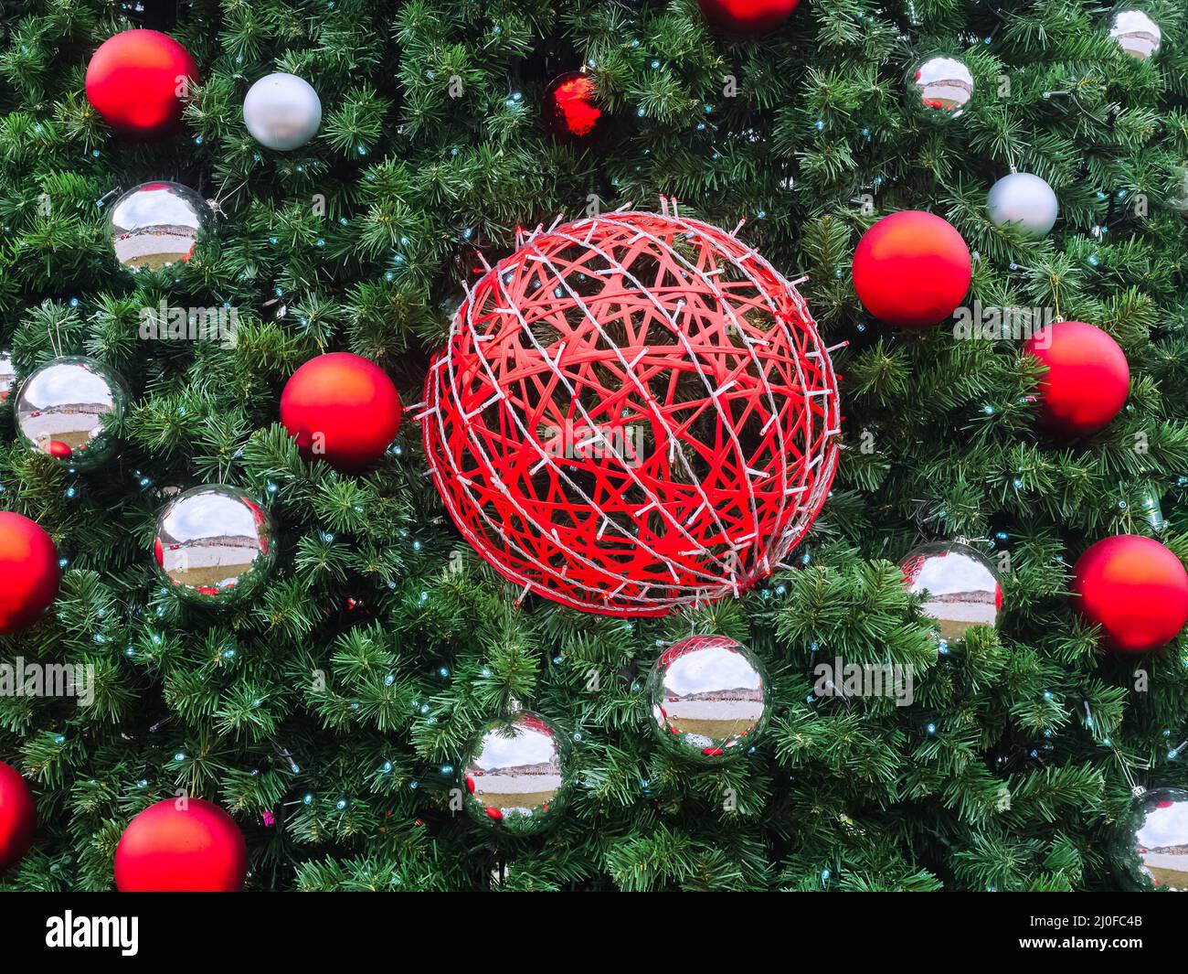 A red wicker ball entwined with a garland hangs among the spruce ...