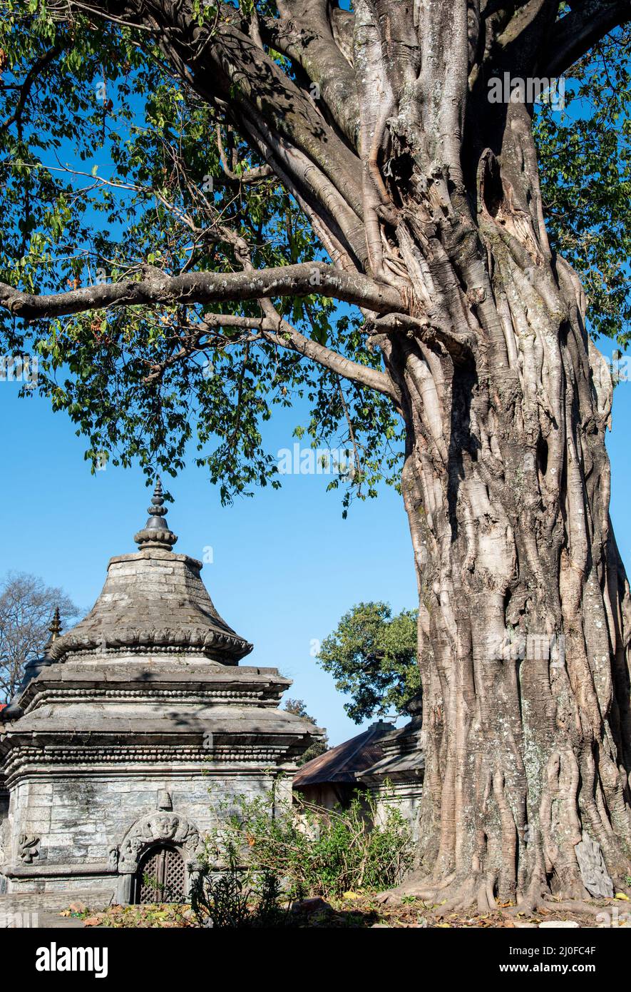Kathmandu landmarks hi-res stock photography and images - Alamy
