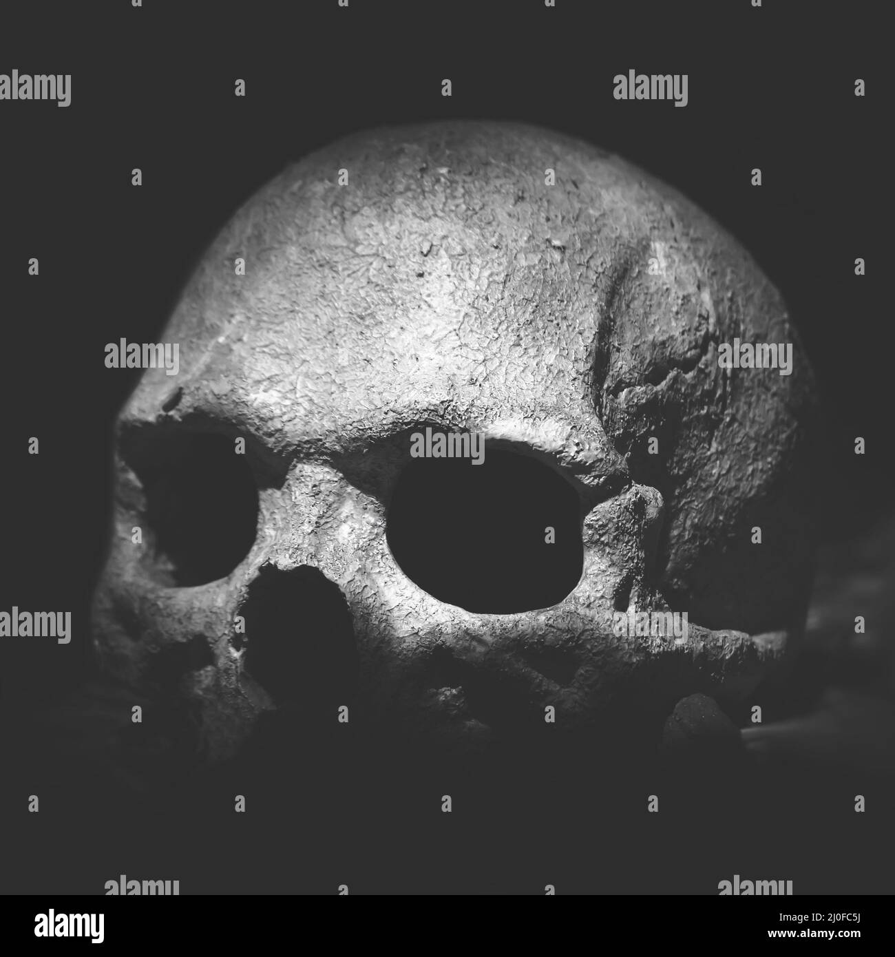 Old skull hi-res stock photography and images - Alamy