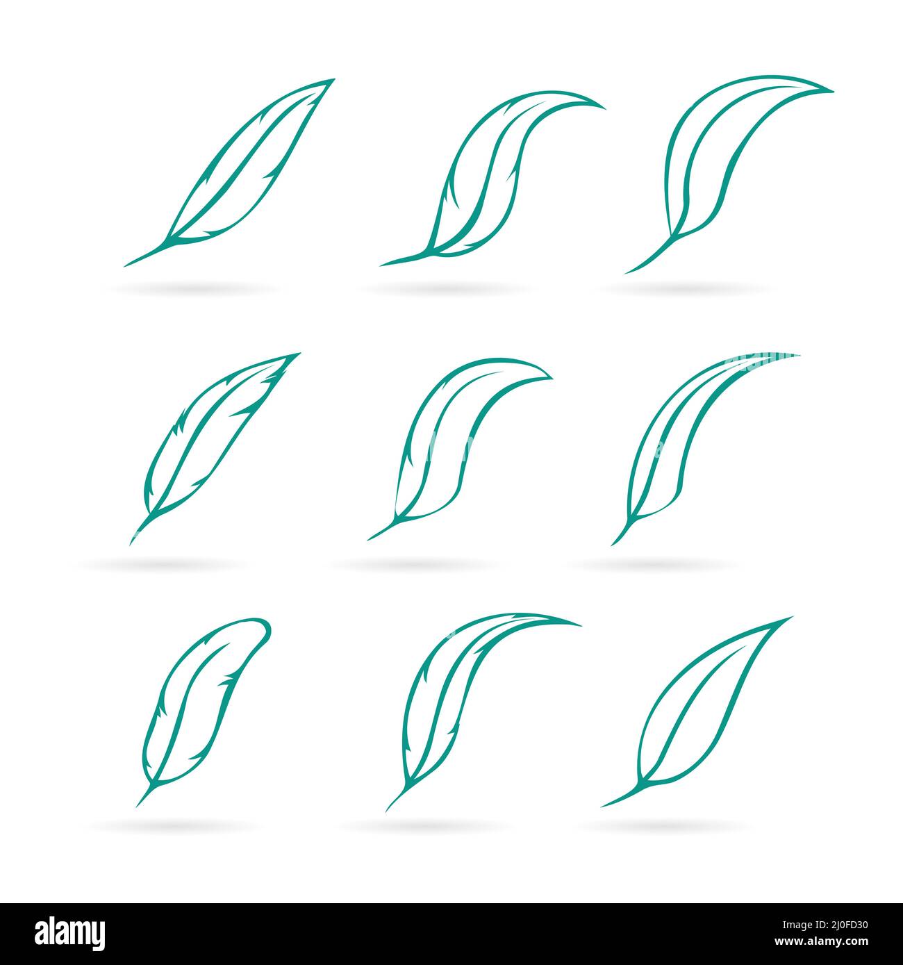 Vector group of feather on white background. Icon. Feathers symbol in ...