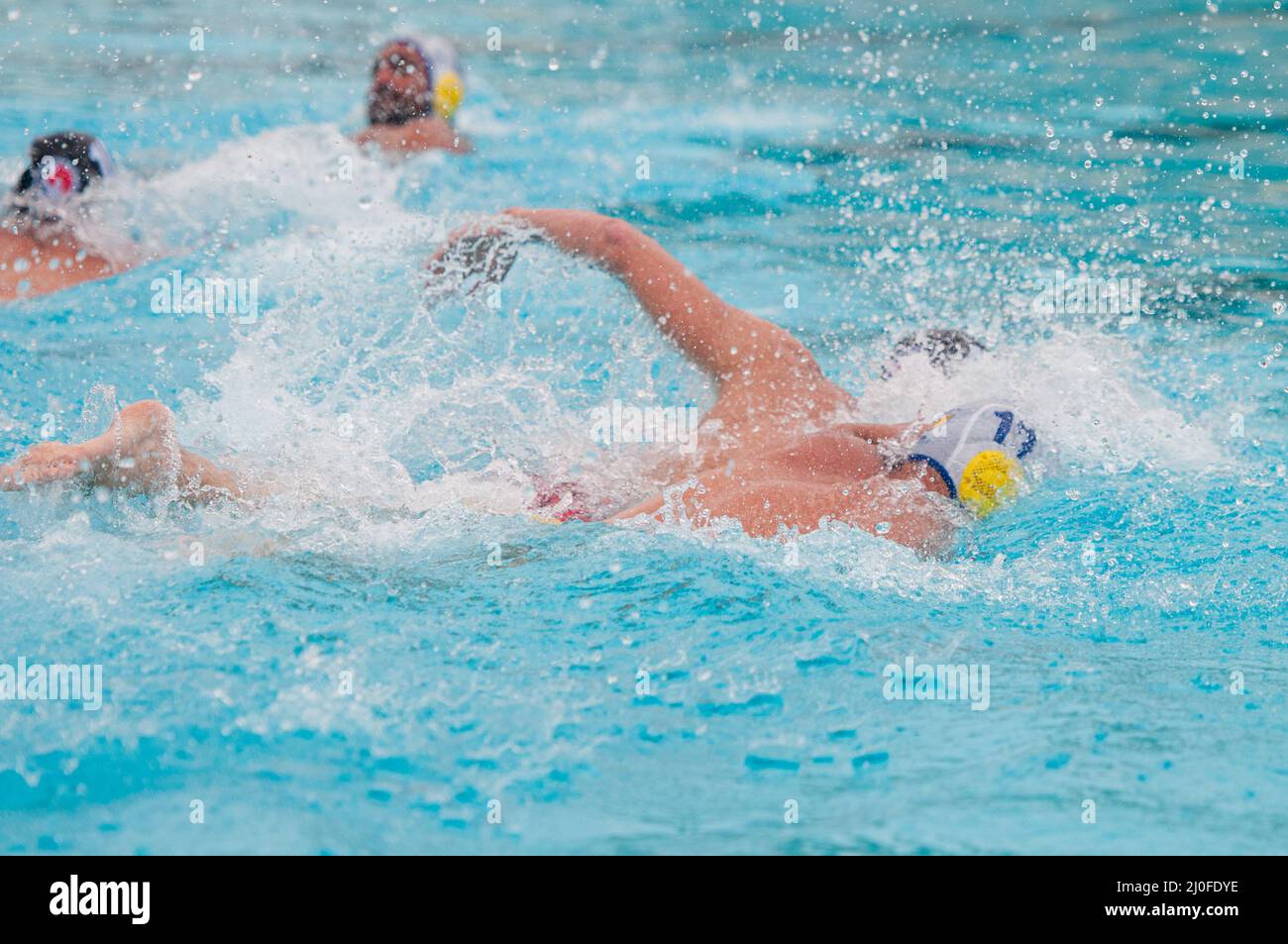 Athletes swimming freestyle on a swimming pool Stock Photo - Alamy