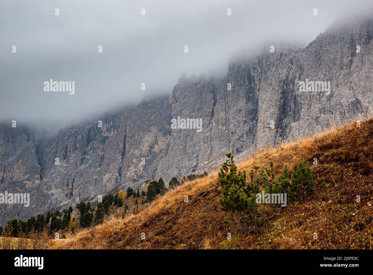 Dolomite mountain peaks covered in fog during sunrise Stock Photo - Alamy
