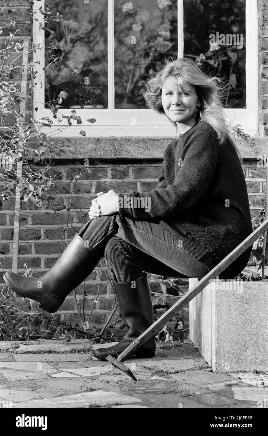Novelist Jilly Cooper pictured at home in Putney. 1st December 1978 ...