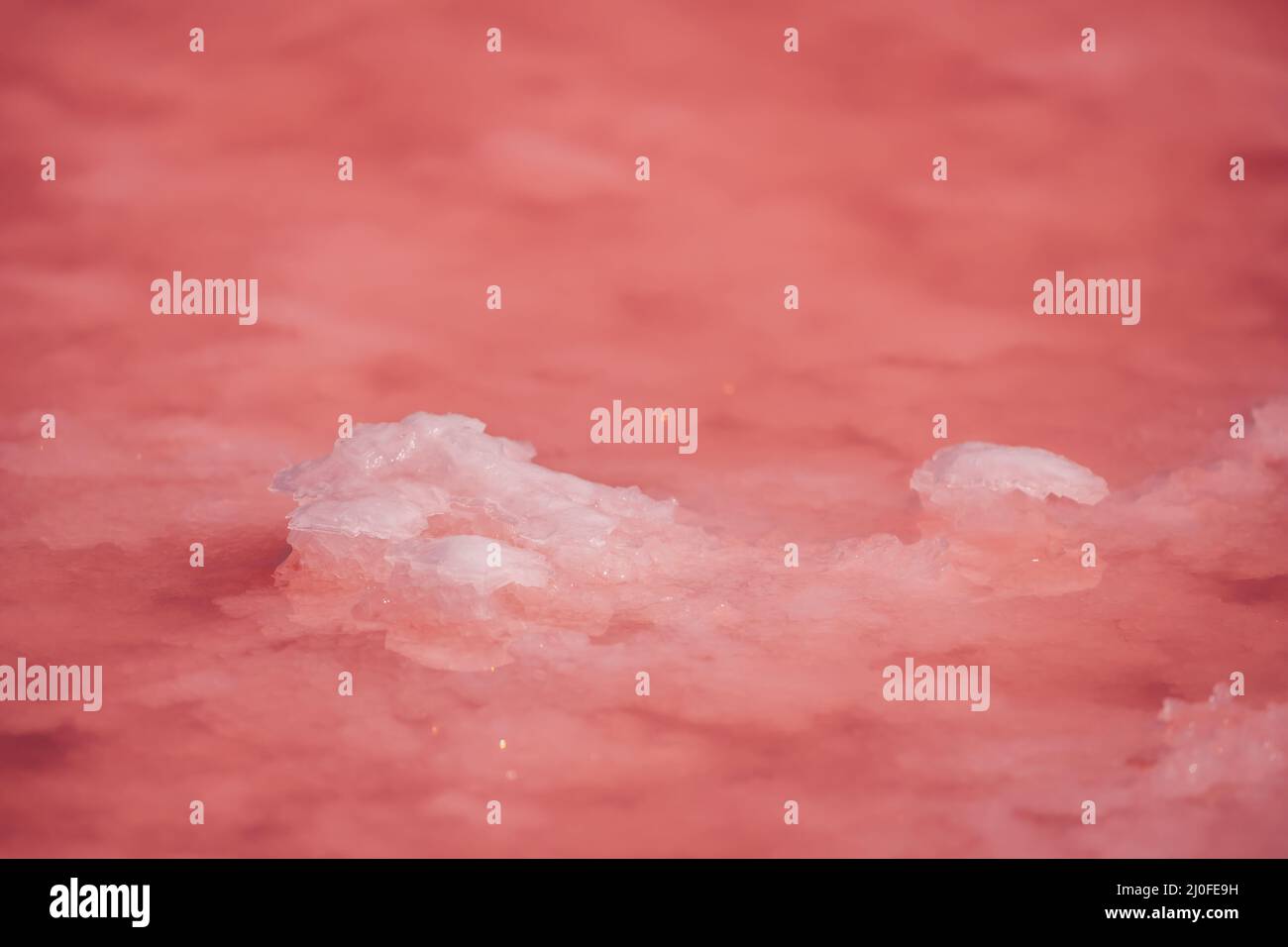 Pink salt cristales. Natural pink salt lake texture. Salt mining ...