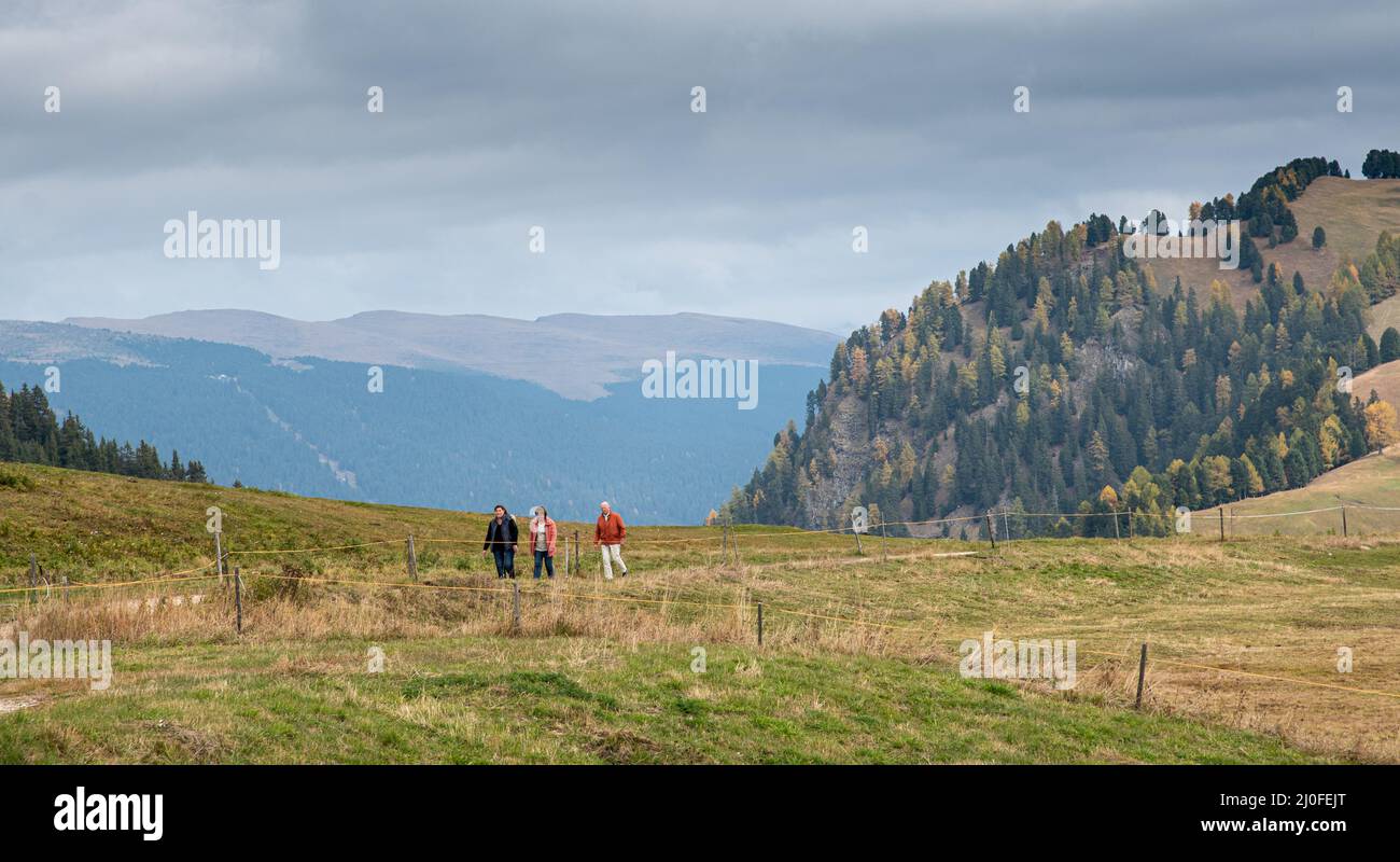 Group of people hiking at the beautiful countryside of Alpe Di Siusi ...