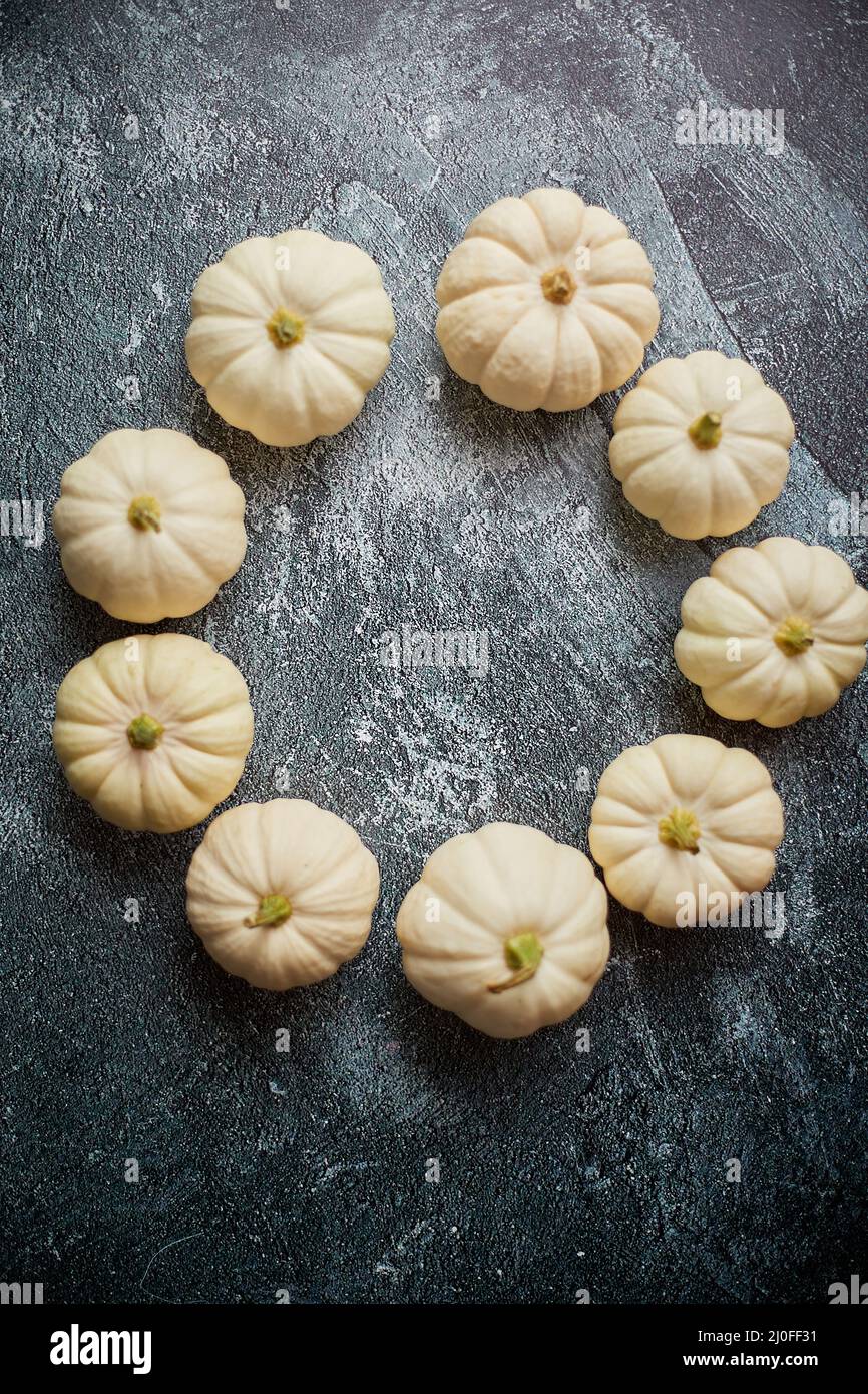Composition of cute white Baby boo mini pumpkins placed in circle on ...