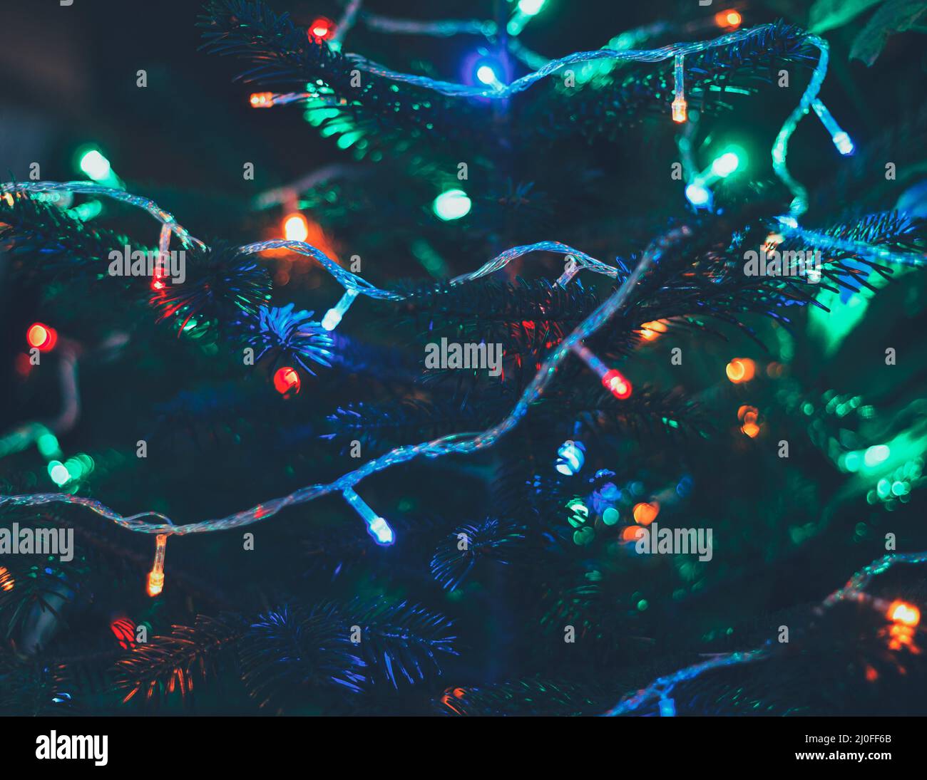 New year tree lights hi-res stock photography and images - Alamy
