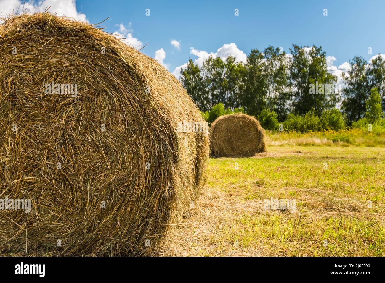 Bale hay farm farming pattern nature hi-res stock photography and ...