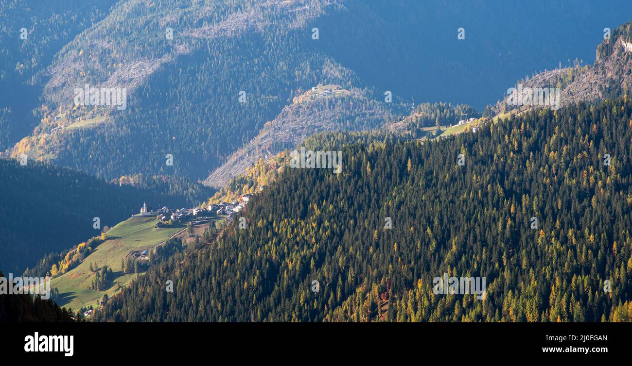 Forest mountain italian alps hi-res stock photography and images - Alamy